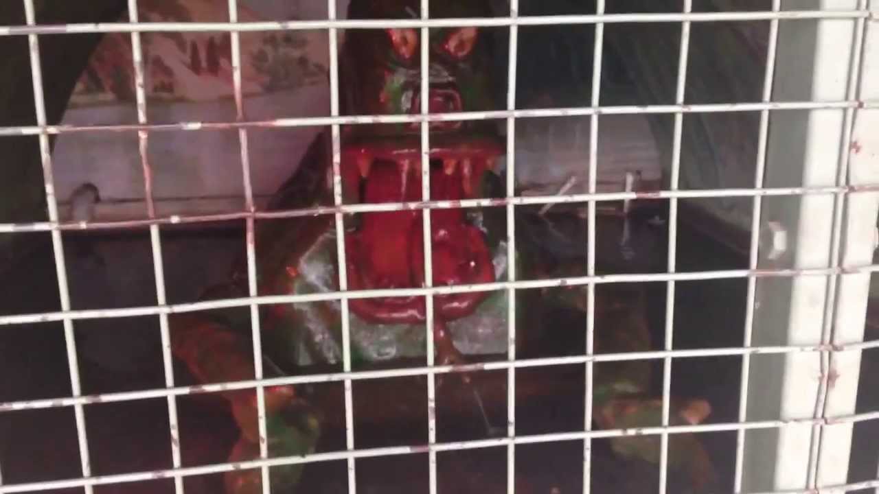 Murray bridge bunyip - YouTube