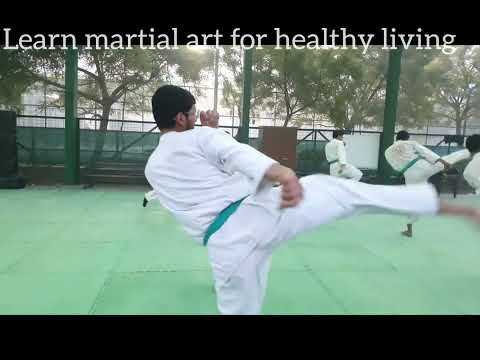 karate # traditional karate basic training # shito-ryu karate - YouTube