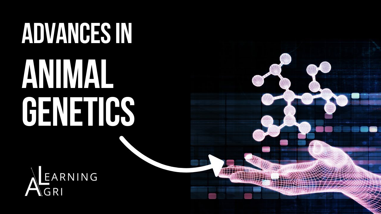 These Genetic Breakthroughs Are Transforming Animal Science—Fast! - YouTube