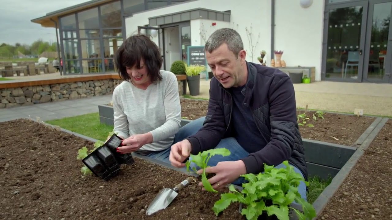 Salad Growing Guide- GROW COOK EAT - YouTube