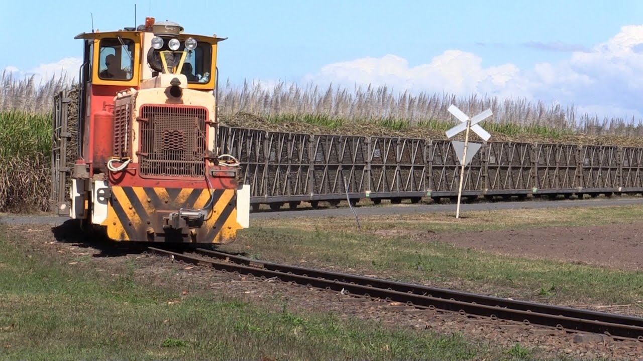 Three eyed critter : Cane trains : Australian Railways - YouTube