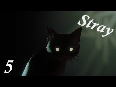 Stray: Part 5: 1.21 Gigawatts! Great Scott! - YouTube