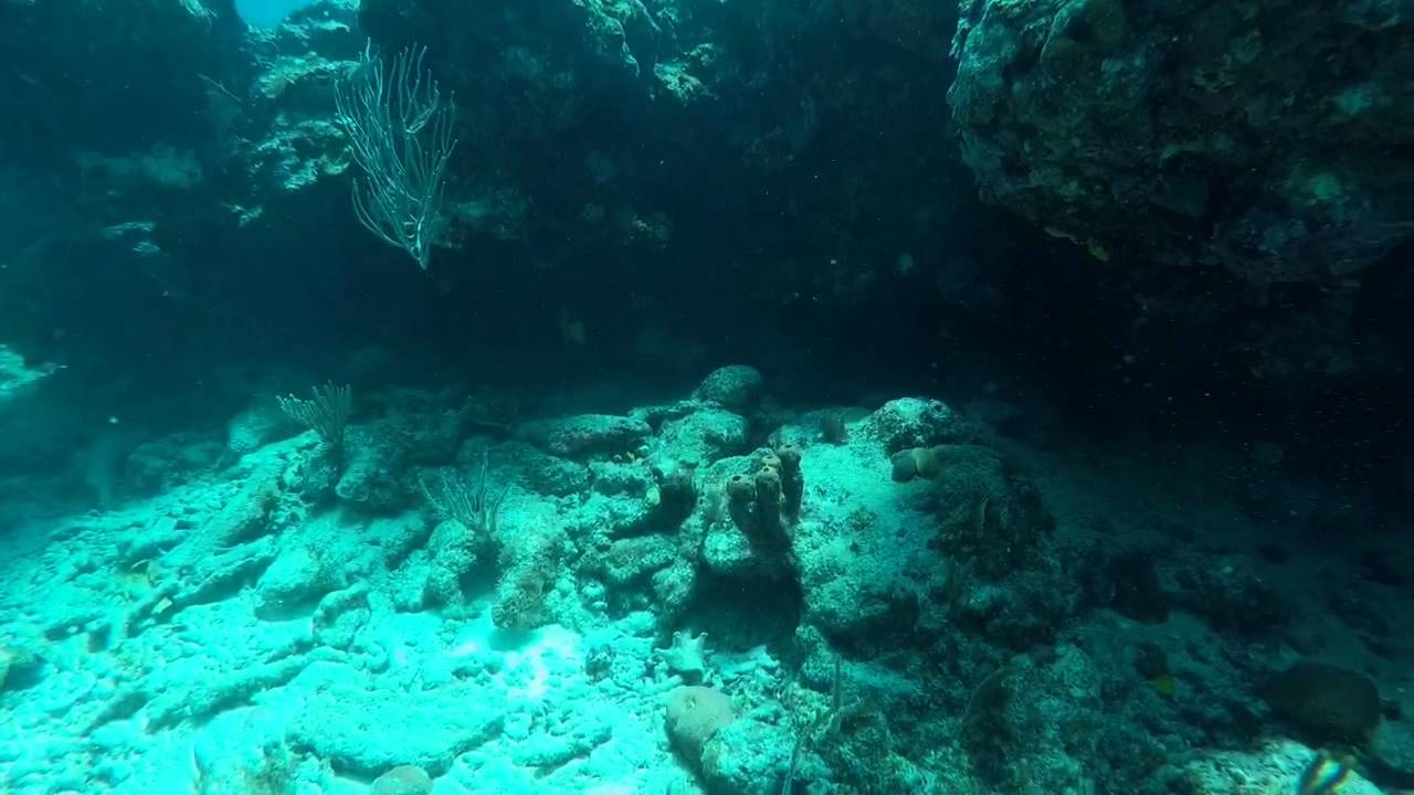 Diving off Cow and Calf Rocks in St. Thomas, U.S. Virgin Islands - YouTube