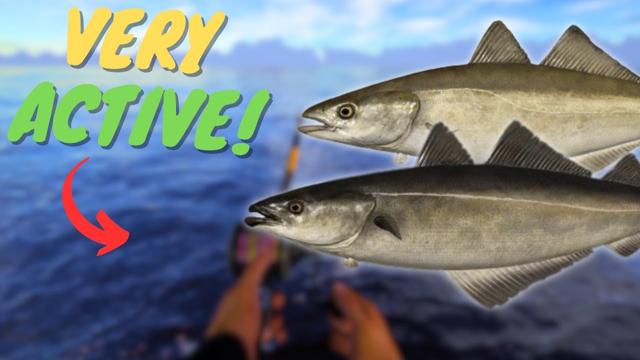 VERY ACTIVE SPOT FOR SILVER IN NORWAY SEA! #849 Russian fishing 4 - YouTube