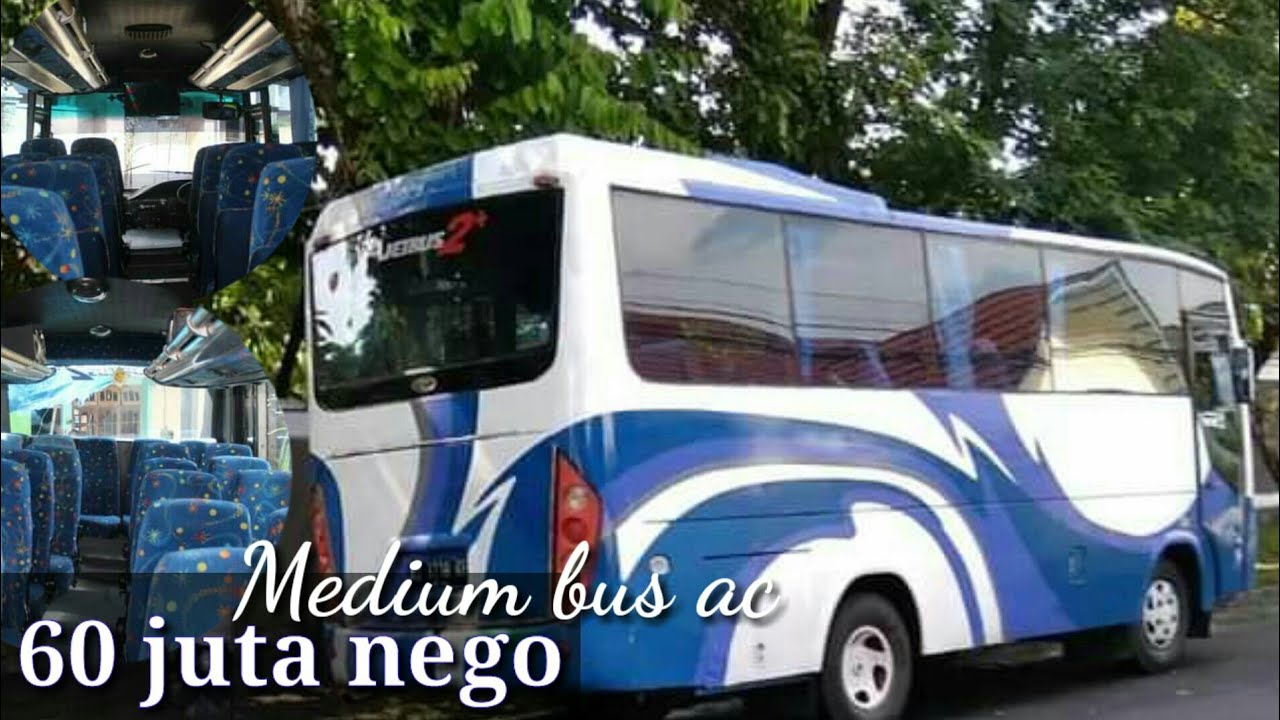 INFORMASI HARGA MEDIUM BUS Mulai 60 juta - YouTube