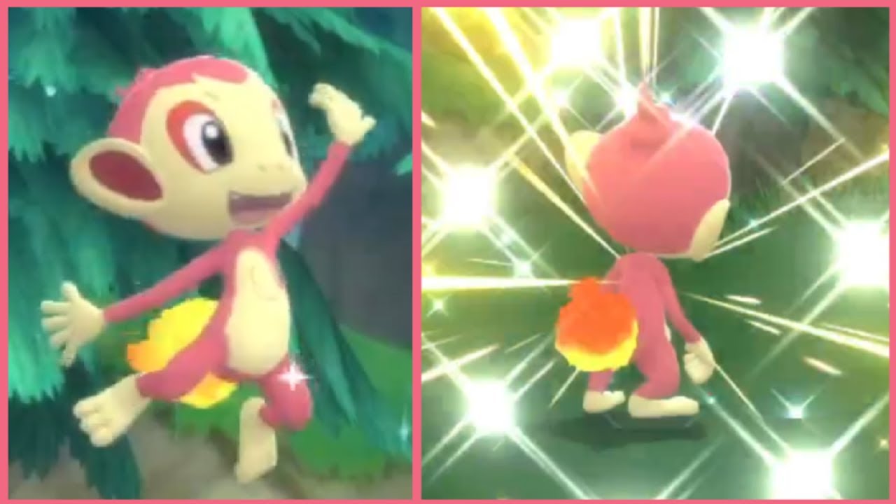 [LIVE] Shiny Chimchar After 2148 SR's In Pokémon Brilliant Diamond ...