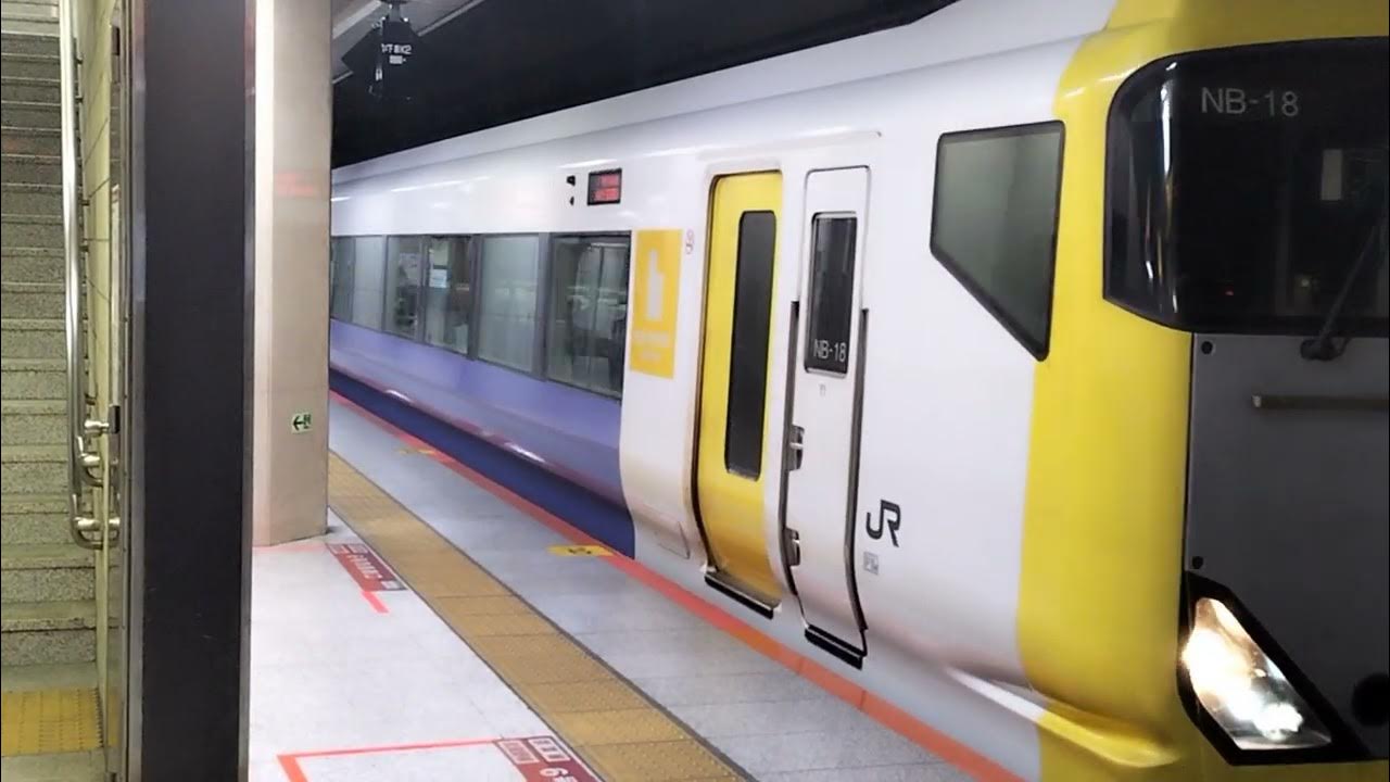 E257系500番台マリNB-18編成東京駅地下ホーム発車(MH2回あり) - YouTube