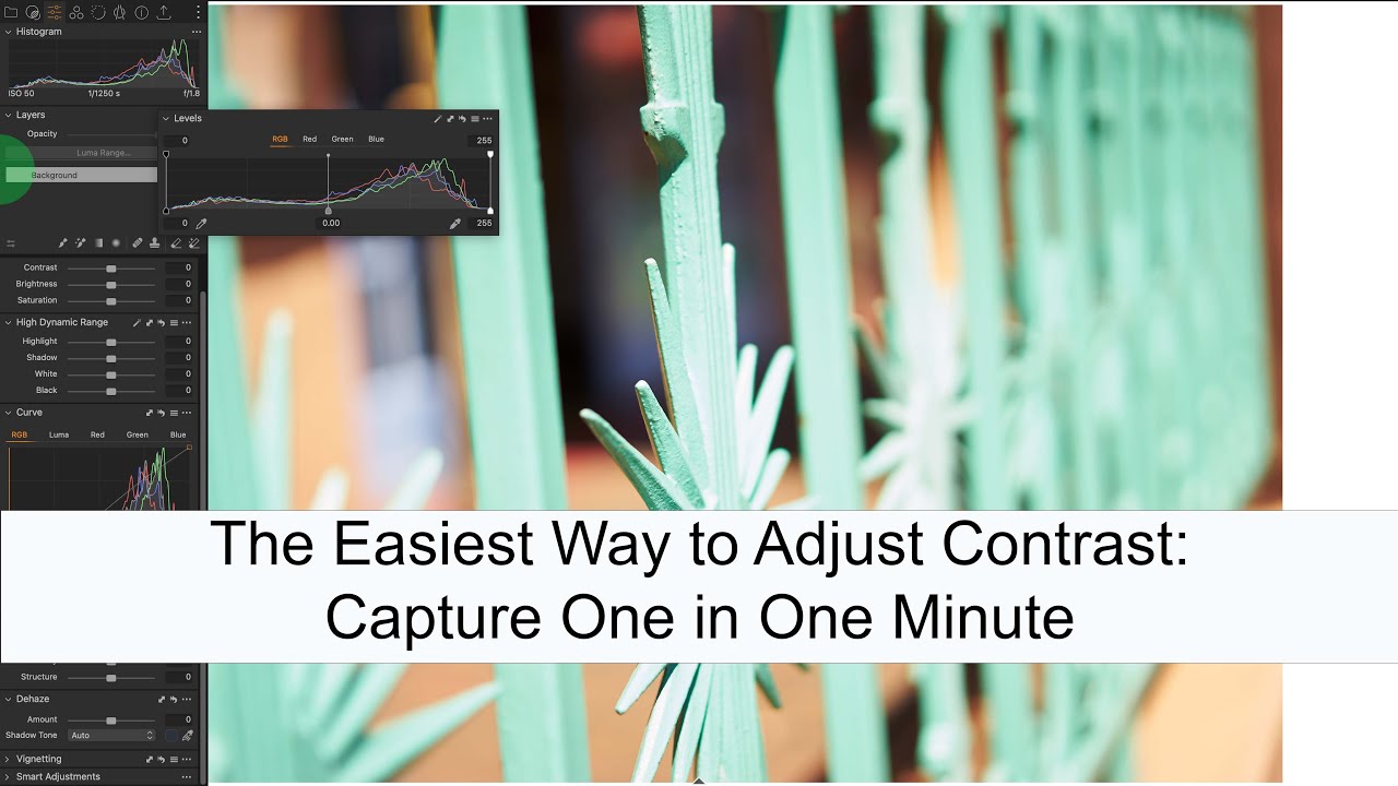 The Easiest Way to Adjust Contrast: Capture One in One Minute - YouTube