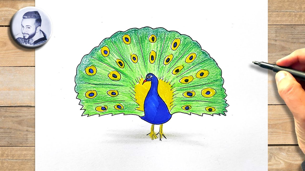 Comment dessiner un paon facilement - YouTube