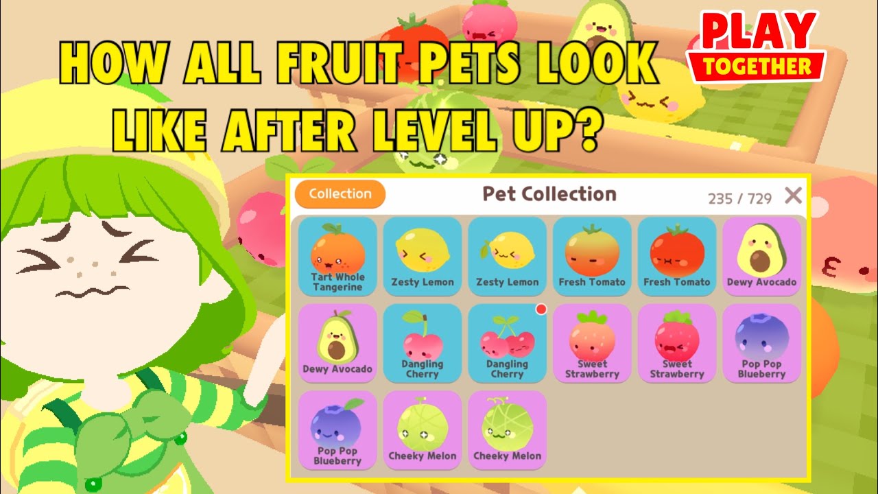 HOW ALL FRUIT PETS LOOK LIKE AFTER LEVEL UP? #haegin #playtogether ...