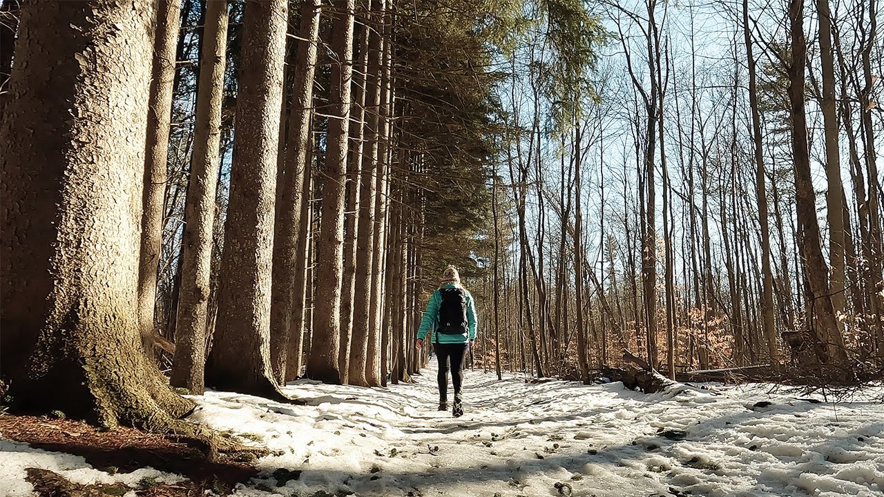 Long Sault Conservation Area, Bowmanville/Clarington - YouTube