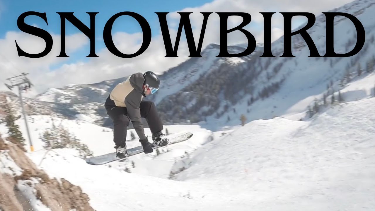 Snowboarding the best snow - Snowbird, Utah - YouTube