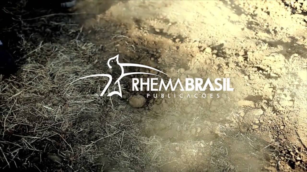 Livro "Prosperidade Bíblica" (Pr. Derek Walker) - Rhema Brasil ...