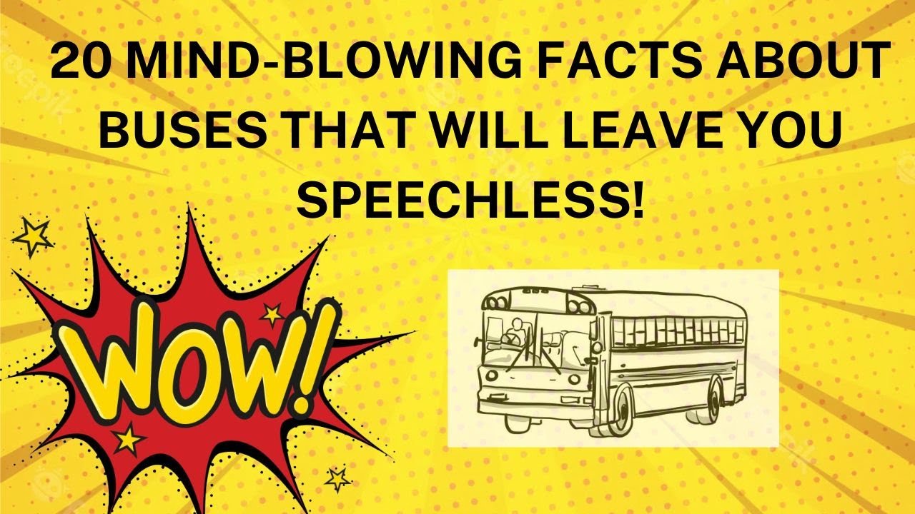 20 Mind-Blowing Facts About Buses That Will Leave You Speechless ...