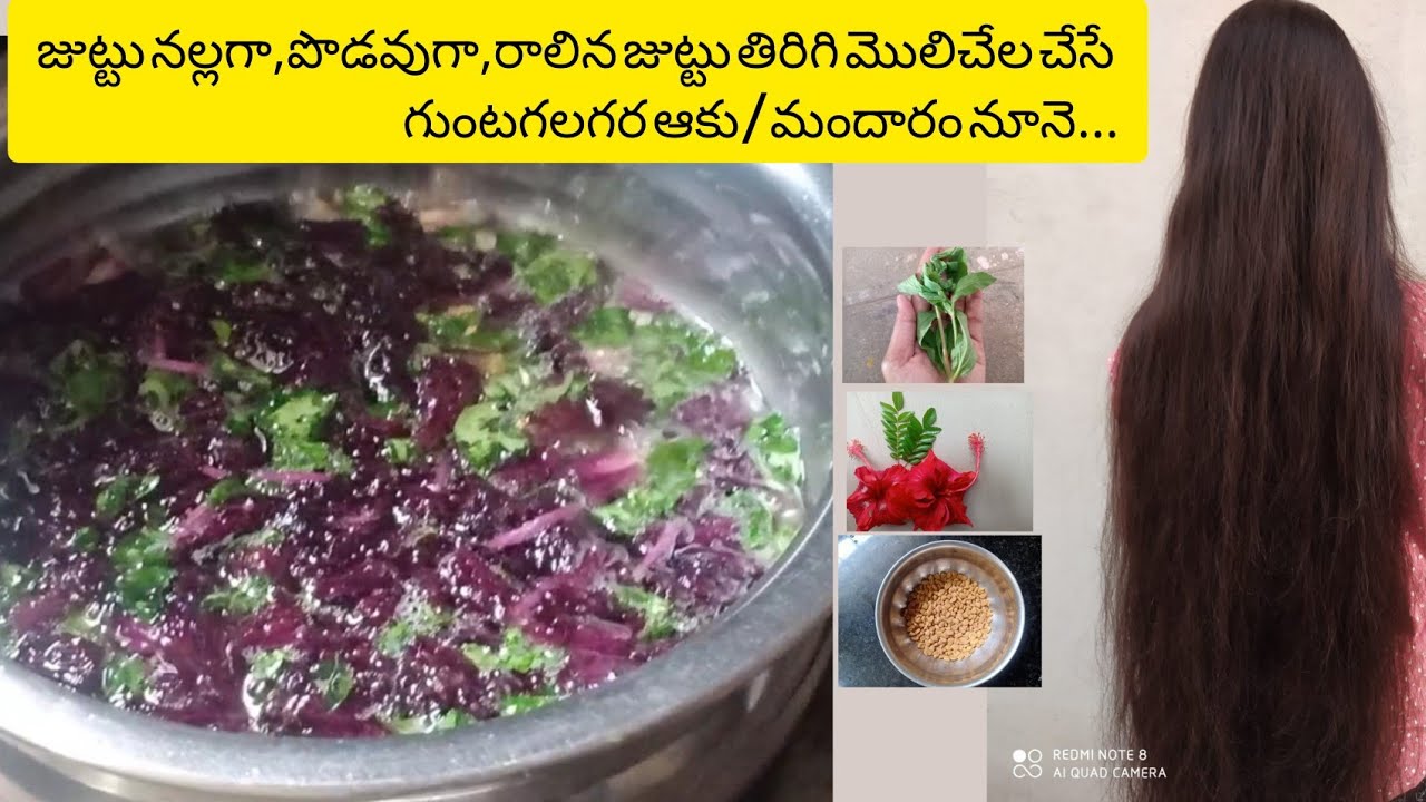 Guntagalagara Aaku (Bhringraj) Mandaram Oil/No Hairfall,No Dandruff ...