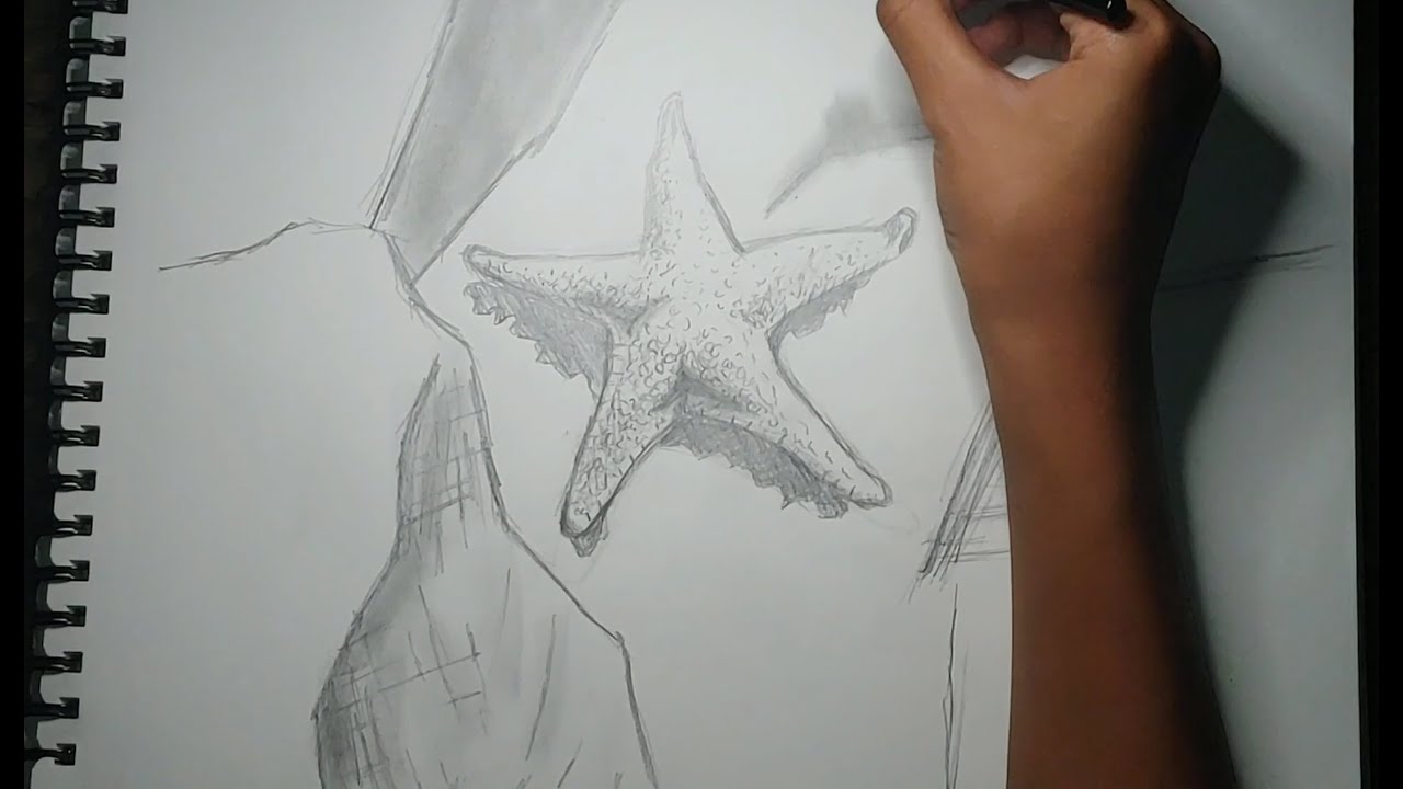 Como dibujar una estrella de mar - How to draw a starfish - YouTube
