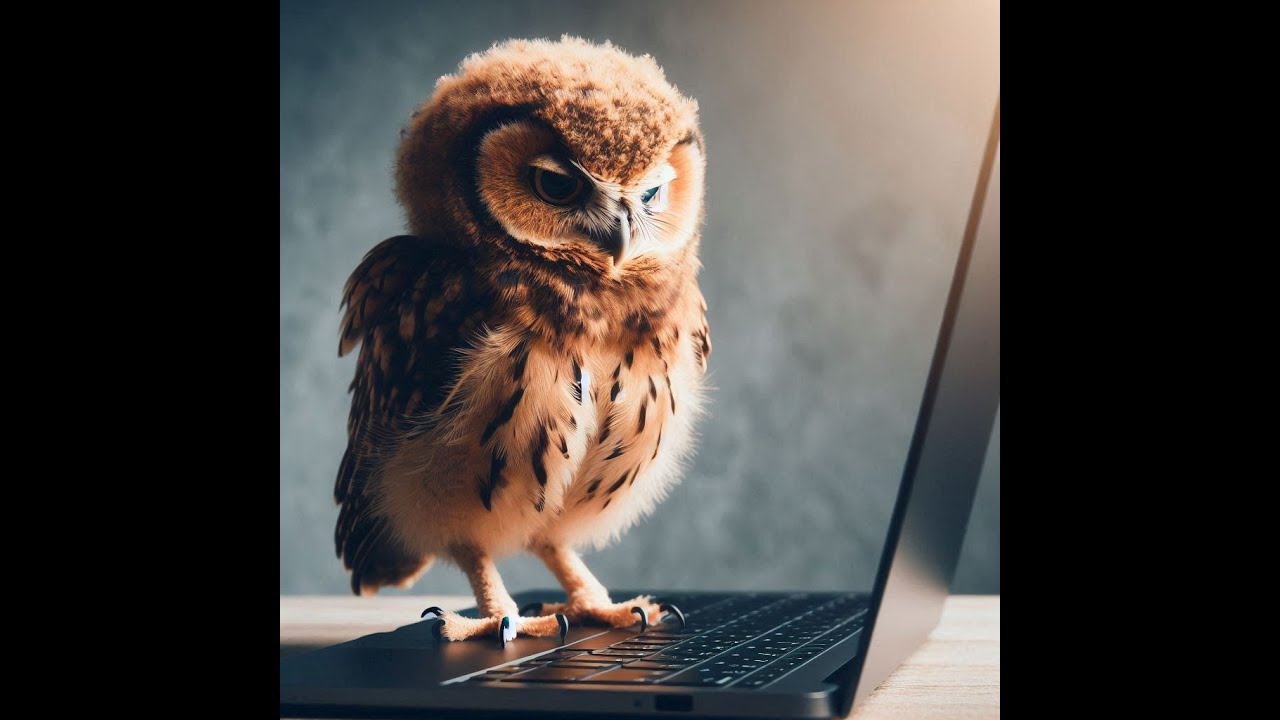 Eff Them VOX TWINS - YouTube