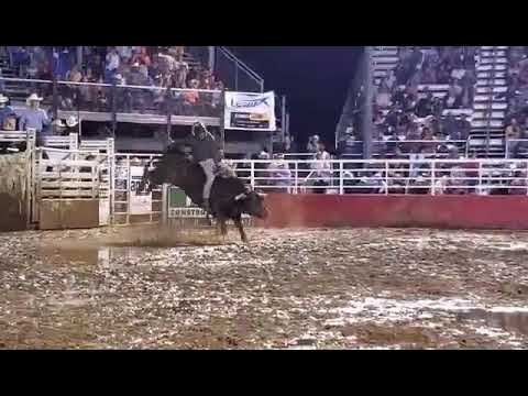 Springdale, Ark PBR - YouTube