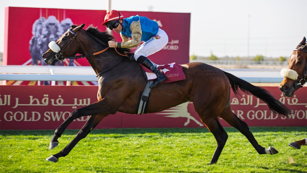 RM 41 Al Rayyan Race 2- Qatar Gold Sword and Trophy(Div1) - YouTube