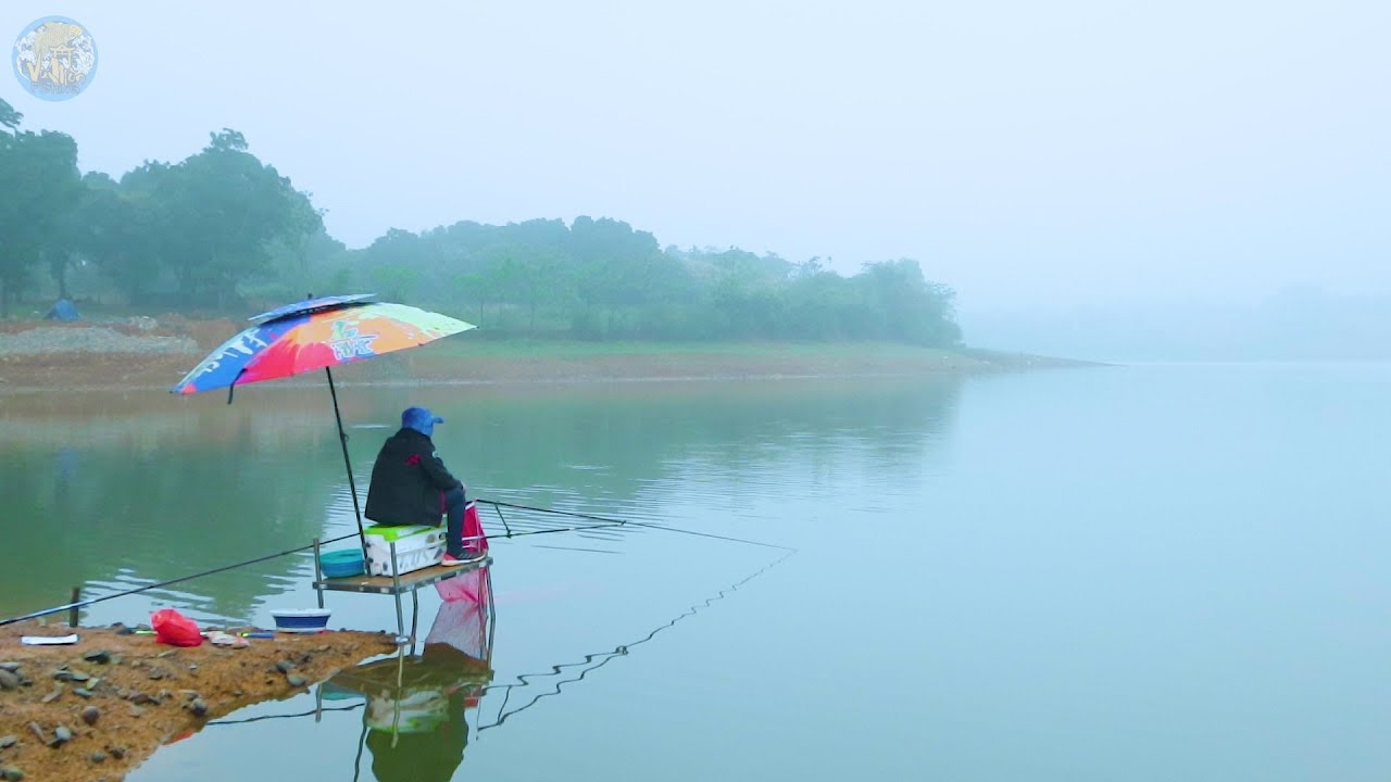 CÂU CÁ TỰ NHIÊN: Câu Cá Rô mà Cá ... phá quá!!! - Wild Fishing - YouTube