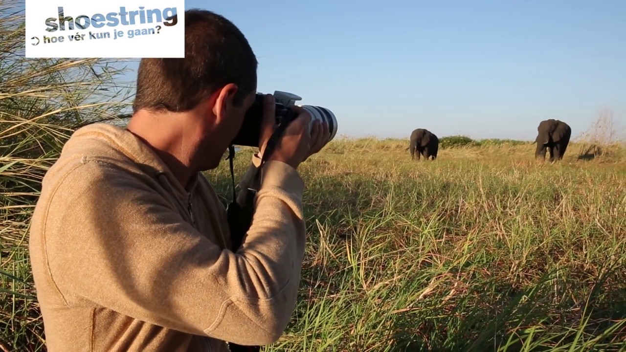 SINGLE REIZEN Shoestring - YouTube