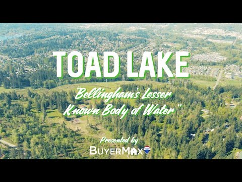 Can you swim in Toad Lake?