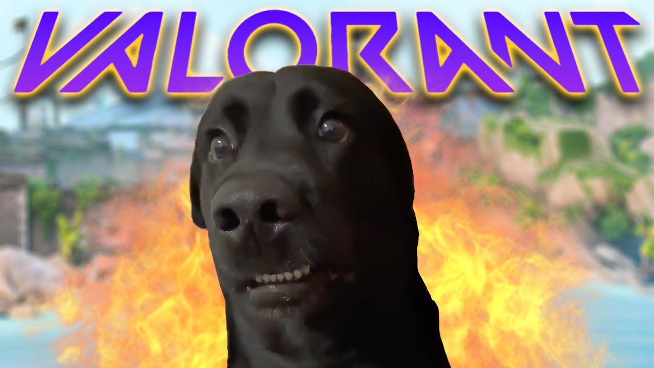 Valorant But We Got RUFFED Up - YouTube