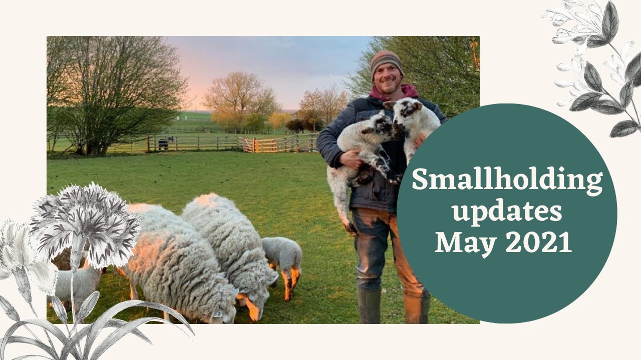 Smallholding jobs, updates and a peek in the farmhouse - YouTube