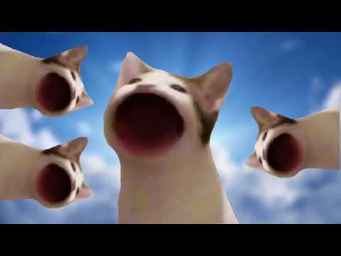 OooooooooooOOoOOOOOOOOOOOooooooooo