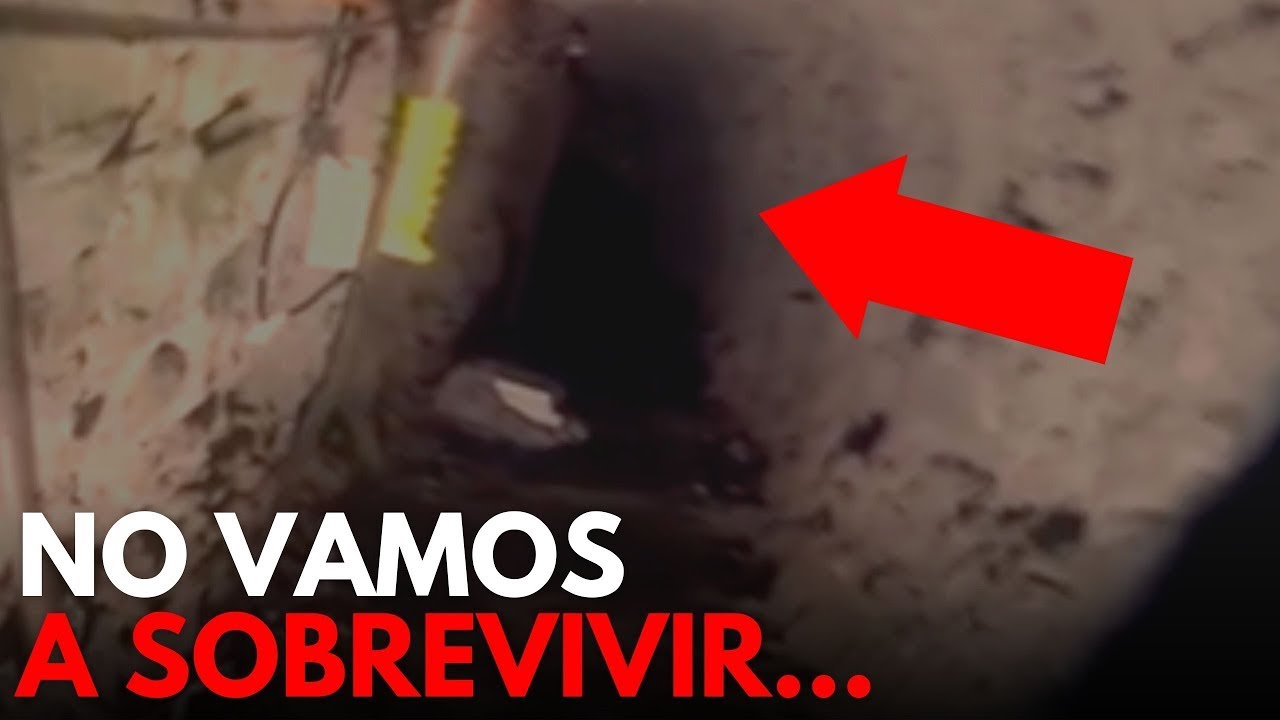 Google ACABA de ADMITIR que ha CREADO algo tan AVANZADO y dice que es ...