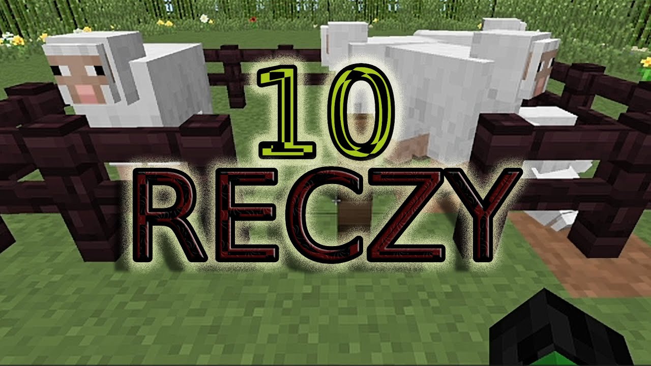 10 RZECZY W MINECRAFT O KTÓRYCH NIE WIEDZIAŁEŚ! - YouTube