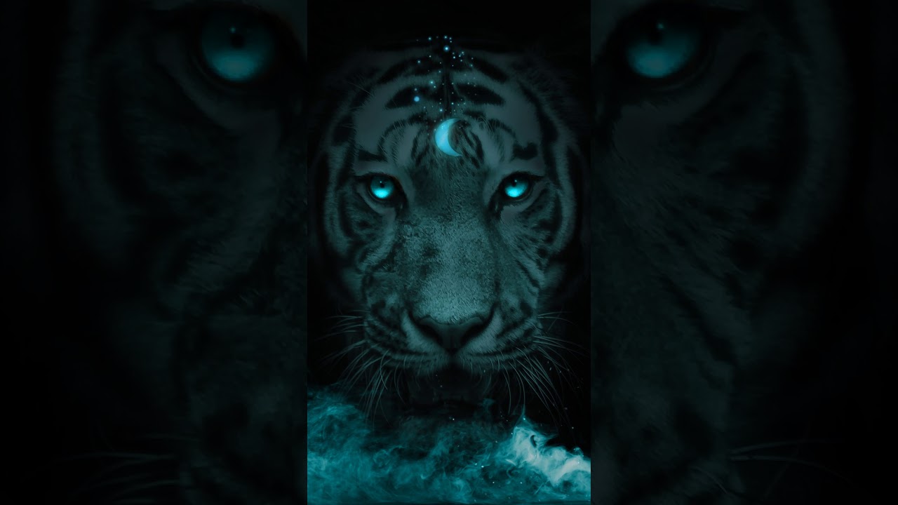 Moon_tiger - YouTube