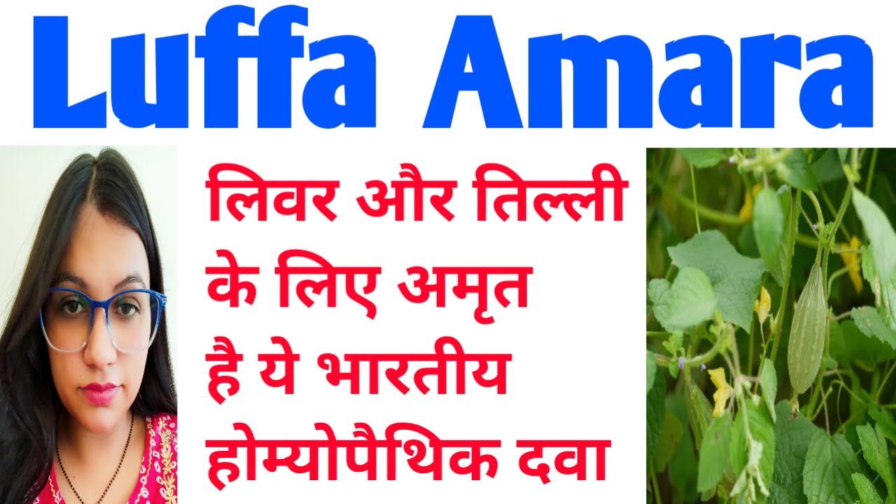 Luffa Amara | तुरई से बनने वाली दवा के फायदे | तिल्ली (spleen) और लिवर ...
