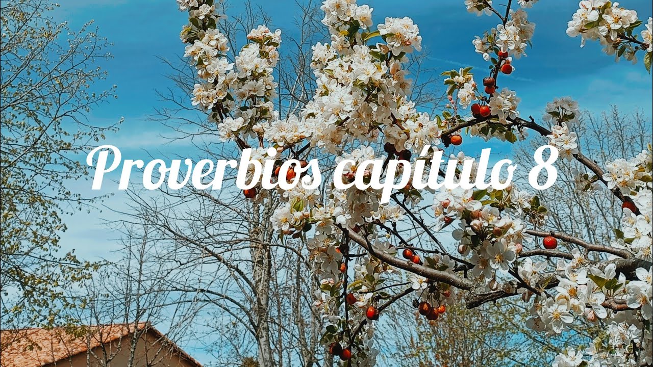 Día 8 - Proverbios capítulo 8 - YouTube