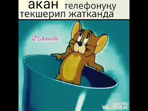 Status uchun video