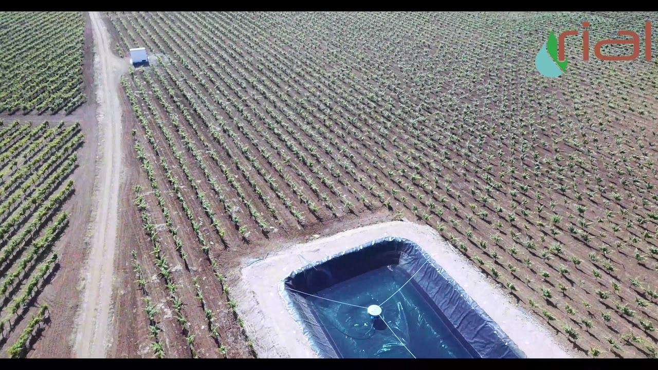 Bombeo en balsa con bomba sumergida - YouTube