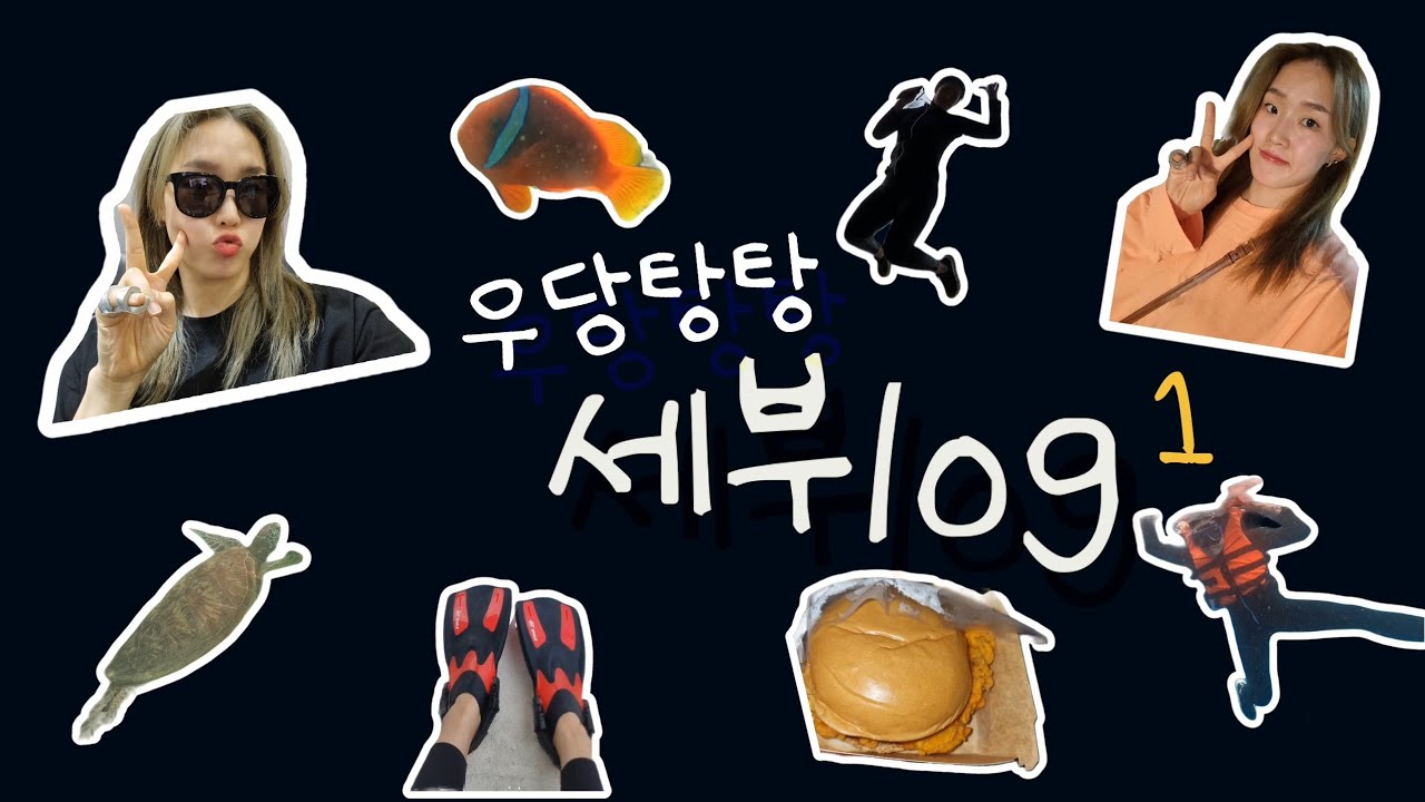 Vlog 2박5일 세부여행은 처음이지 세부 브이로그 1탄 오슬롭 고래상어 투말록 폭포 에이티즈 티켓팅