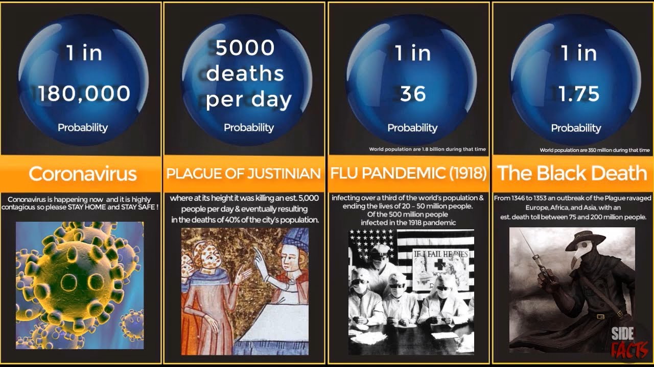 Death Probability Comparison - Diseases - Accidents - Viruses - YouTube