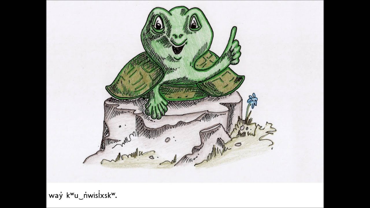 Turtle and Eagle - YouTube