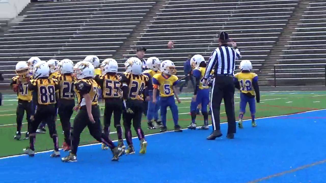 Manassas Sharks vs FPYC Rebels 10 22 2016 - YouTube