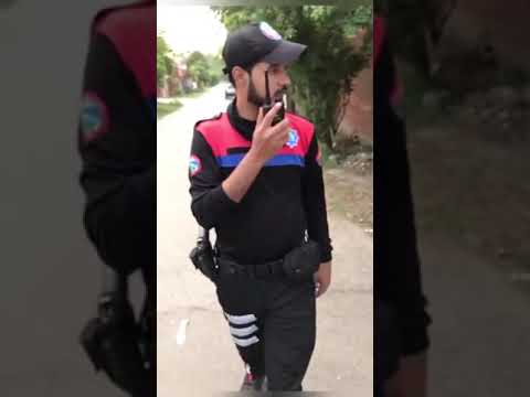 Dolphins Police latest TikTok Videos 2021