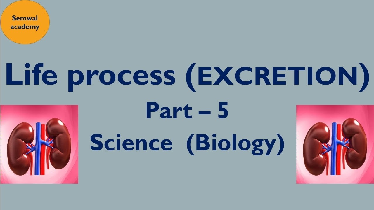 Life process (EXCRETION) part - 5 #science #biology - YouTube