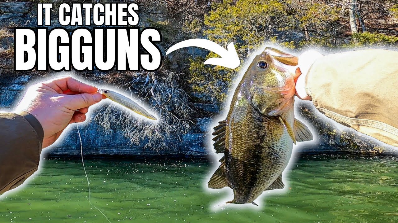 REVEALING My New FAVORITE Lure for Cold Water Fishing! - YouTube