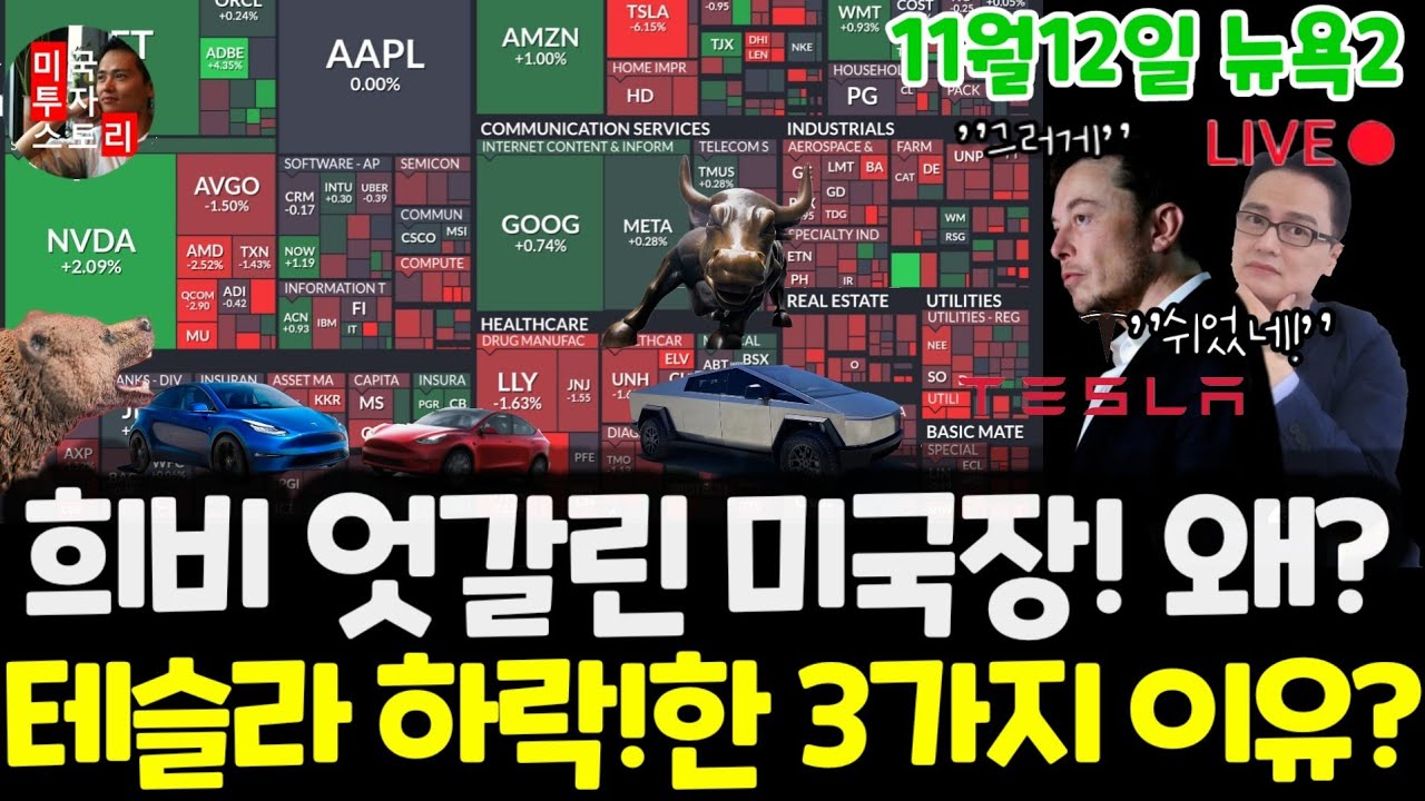 미국주식시황오늘 왜 떨어졌나 테슬라 하락 엔비디아 상승한 이유구글 애플 아마존 메타 마이크로소프트 팔란티어 아이온큐 델