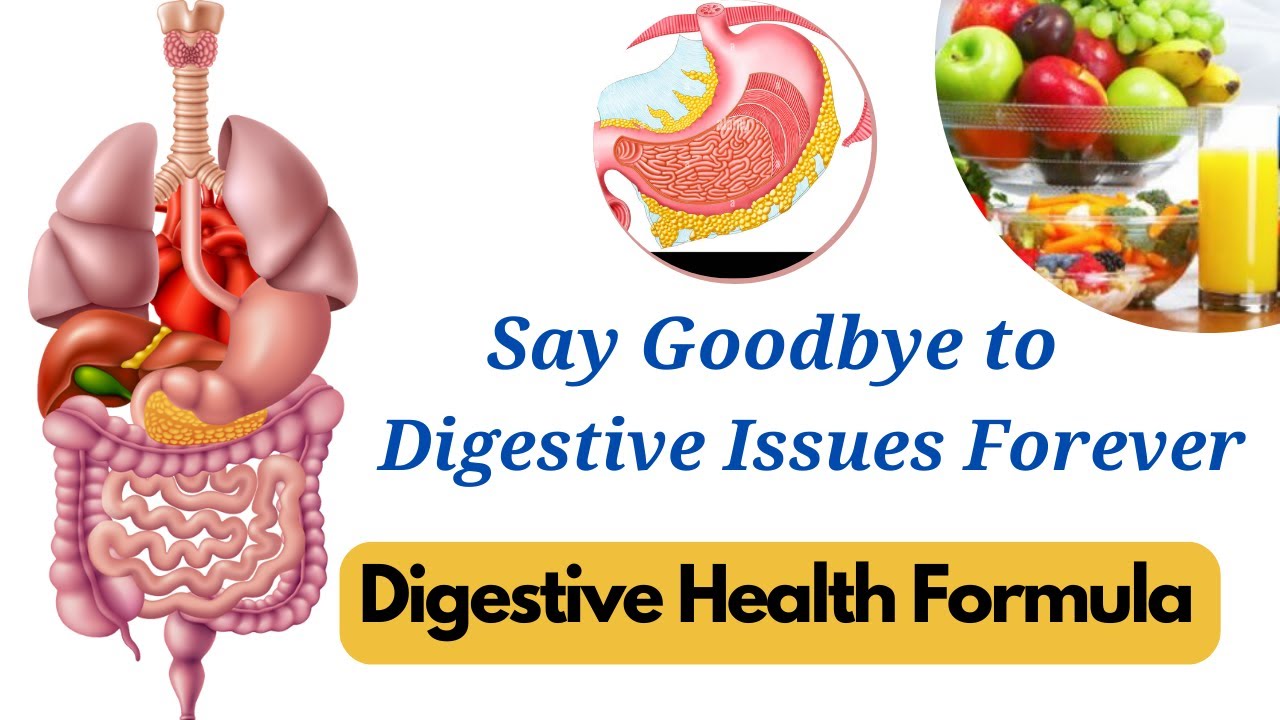 Unraveling the Secrets of Digestive Health || Healthy Digestive System ...