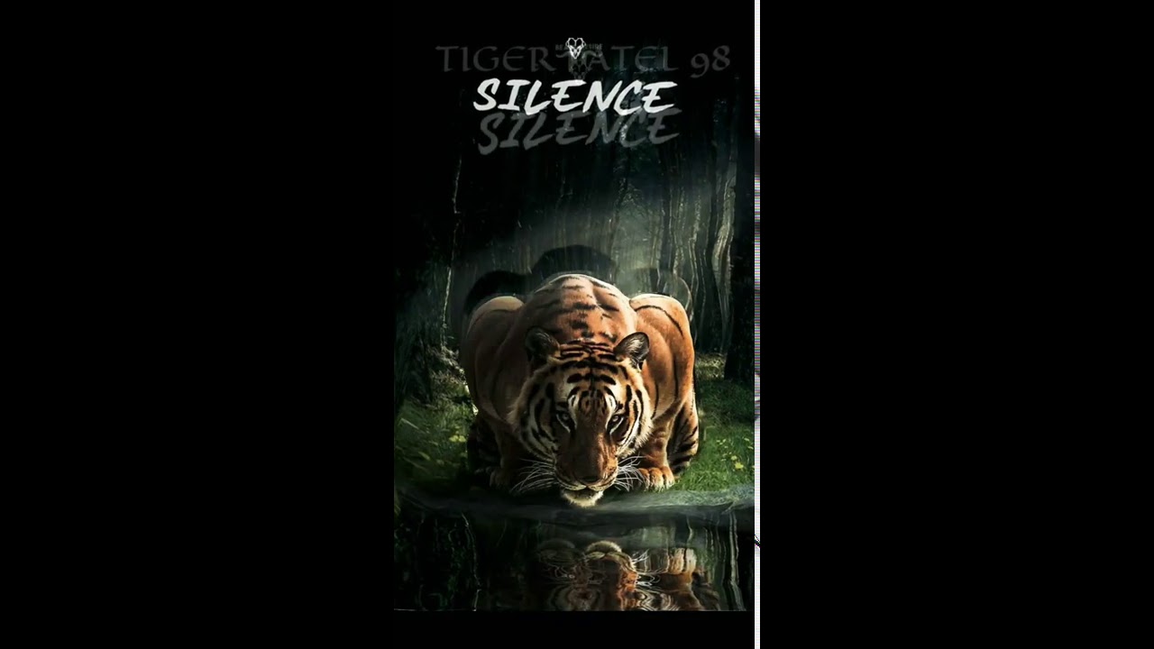Attitude in silence mood of TIGER !!TIGERPATEL 98!! - YouTube