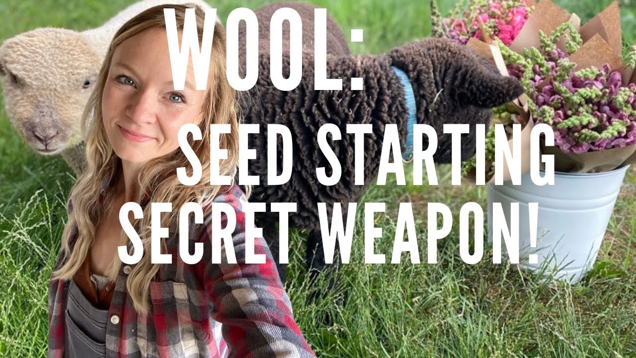 Wool: Your Seed Starting Secret Weapon! (wool pellet soil block recipe ...