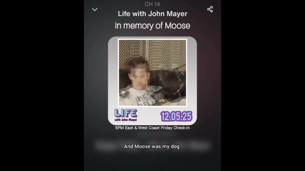 After losing his dog, John Mayer shared a truth about loving animals ...