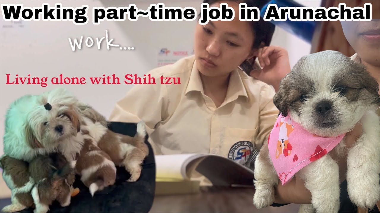 A day in my life with fur babies in Arunachal Pradesh || working part time job || - YouTube