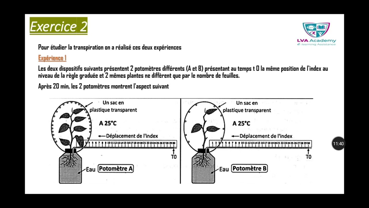 Amélioration de la production végétale 1ere anné 💚تفهم بالفلاقي¥ - YouTube